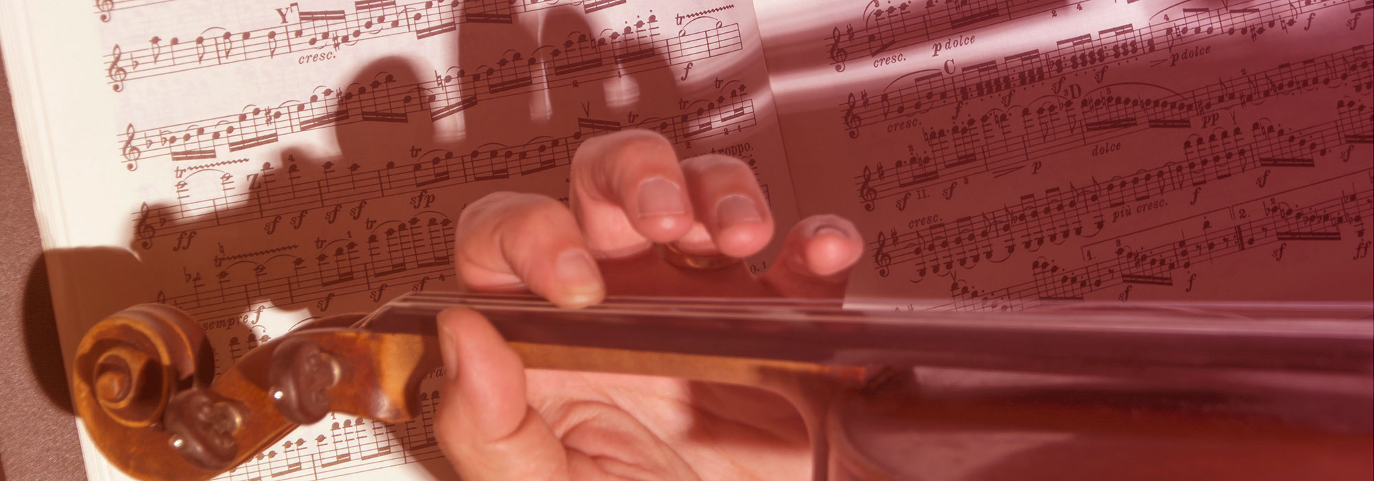 Services - The String Beings