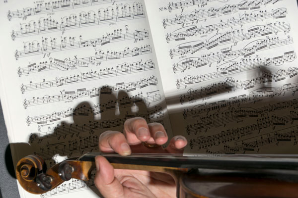 Photos - The String Beings