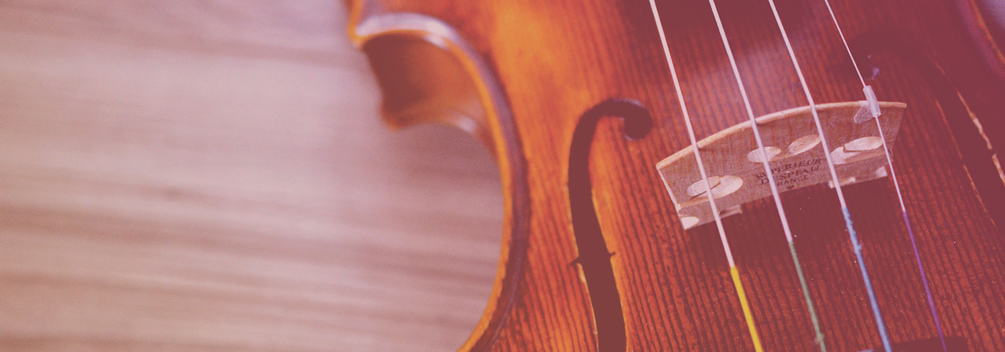 Wedding Demo - The String Beings